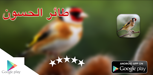 goldfinch bird song APK Download For Free
