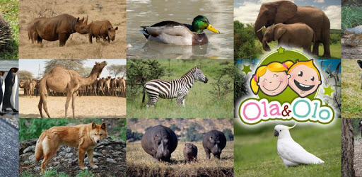 Animal Sounds And Pictures for PC - How to Install on Windows PC, Mac