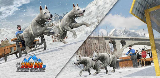 Snow Dog Sledding Transport Games: Winter Sports for PC - How to ...