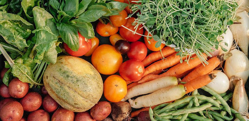 Peapod APK Download For Free