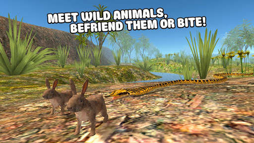 Poisonous Snake Simulator 3D APK Download For Free