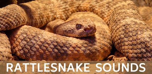 Rattlesnake Sounds for PC - How to Install on Windows PC, Mac