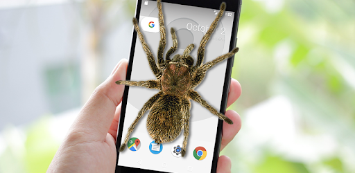 Spider On Screen Prank For Pc How To Install On Windows Pc Mac