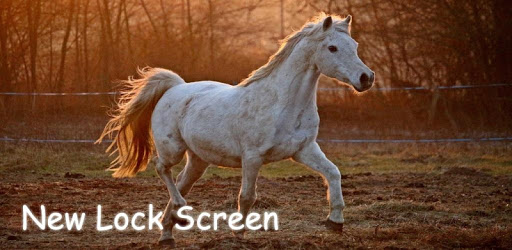 Horses Lock Screen for PC - How to Install on Windows PC, Mac