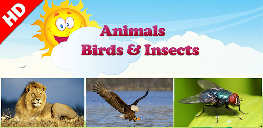 Animals Learning for PC - How to Install on Windows PC, Mac