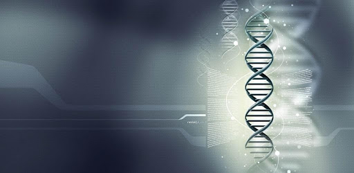 Chemical Engineering APK Download For Free