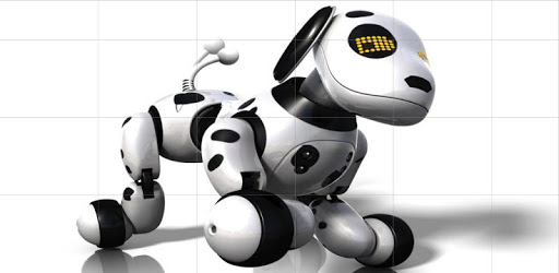 Zoomer for PC - How to Install on Windows PC, Mac