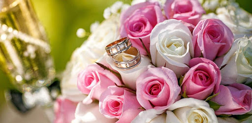 Roses Flowers Wallpaper for PC - How to Install on Windows PC, Mac