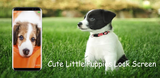 Cute Little Puppies Lock Screen for PC - How to Install on Windows PC, Mac