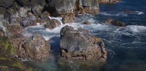 Blue wave live wallpaper for PC - How to Install on Windows PC, Mac