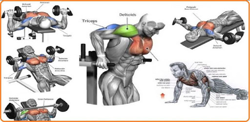 Bodybuilding muscle training tutorial for PC - How to Install on ...