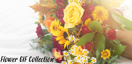 Flower GIF 2018 for PC - How to Install on Windows PC, Mac