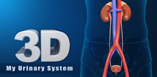 My Urinary System for PC - How to Install on Windows PC, Mac
