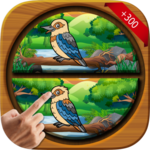 Find the differences Brain Puzzle Game for PC - How to Install on Windows PC, Mac