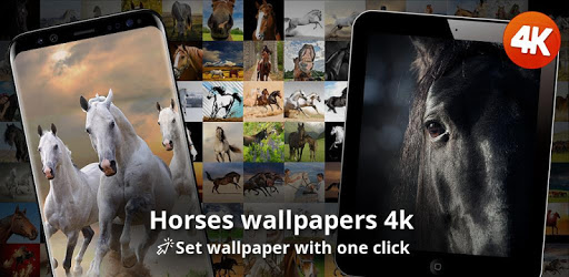 Horses wallpapers 4k for PC - How to Install on Windows PC, Mac