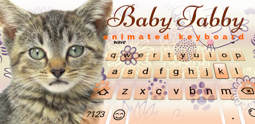 Baby Tabby Animated Keyboard + Live Wallpaper for PC - How to Install ...