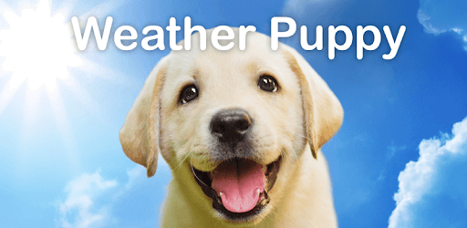 Weather Puppy - Forecast, Radar & Pet Dog Pictures for PC - How to ...