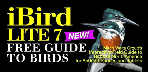 iBird Lite Free Guide to Birds for PC - How to Install on Windows PC, Mac