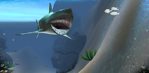 Shark Survival Simulator 3D for PC - How to Install on Windows PC, Mac