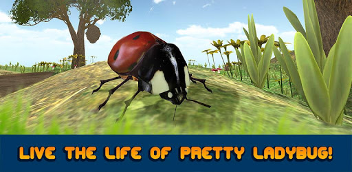 Ladybug Insect Simulator 3D for PC - How to Install on Windows PC, Mac