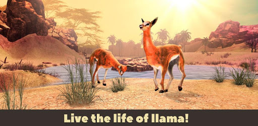 Llama Wild Life Simulator 3D for PC - How to Install on Windows PC, Mac