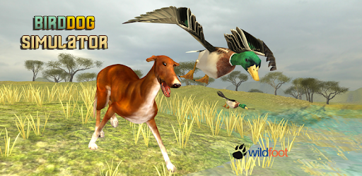 Bird Dog Simulator APK Download For Free