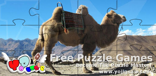 Camels Jigsaw Puzzles APK Download For Free
