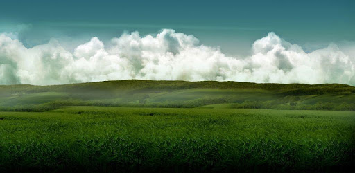 Jungle Sounds - Nature Sounds for PC - How to Install on Windows PC, Mac