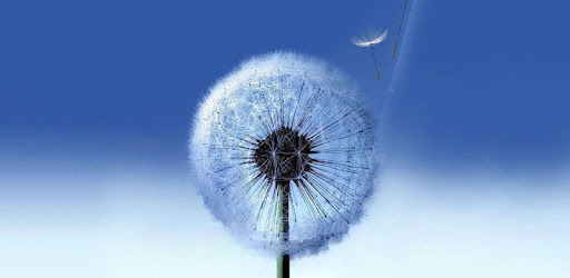 Water Sounds Nature Sounds for PC - How to Install on Windows PC, Mac