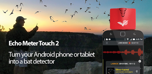 Echo Meter Touch Bat Detector, Recorder & Analyzer for PC - How to ...