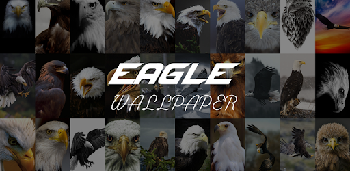 Eagle Wallpaper for PC - How to Install on Windows PC, Mac