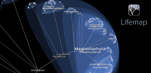 Lifemap - Tree of Life for PC - How to Install on Windows PC, Mac