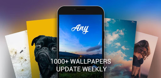 🎨ANY™ Wallpaper - HD,4K Background & Touch Effect for PC - How to ...