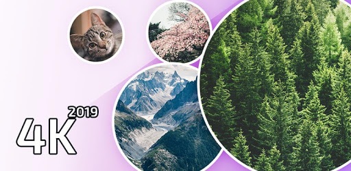 4K Wallpaper - Auto background Changer (HD) for PC - How to Install on ...
