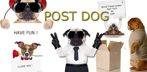 Post Dog for PC - How to Install on Windows PC, Mac