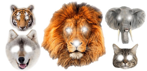 Animal Face Camera for PC - How to Install on Windows PC, Mac