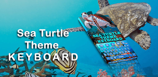 Sea Turtle Keyboard for PC - How to Install on Windows PC, Mac