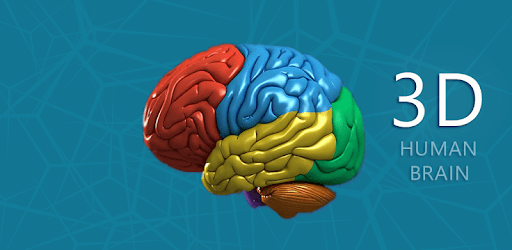 3D Human Brain for PC - How to Install on Windows PC, Mac