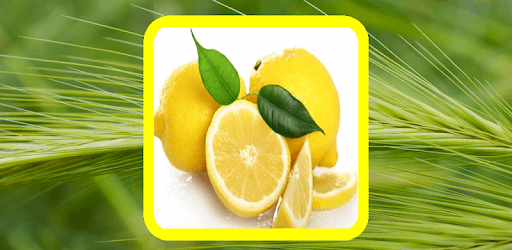 Uses and Benefits of Lemon for PC - How to Install on Windows PC, Mac