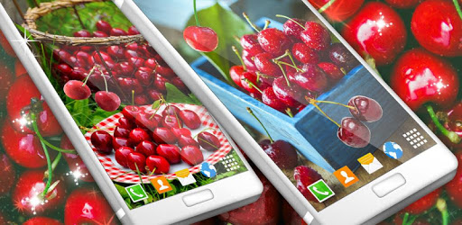 Summer Cherry Live Wallpaper for PC - How to Install on Windows PC, Mac