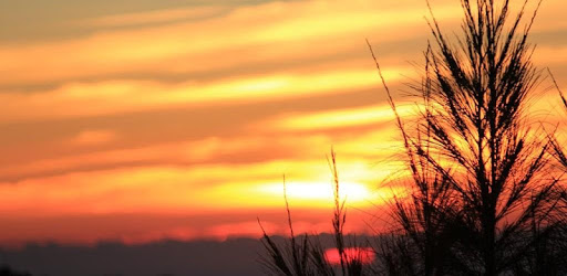 Click Clock Widget for PC - How to Install on Windows PC, Mac