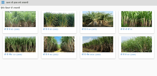 Sugarcane DSS for PC - How to Install on Windows PC, Mac