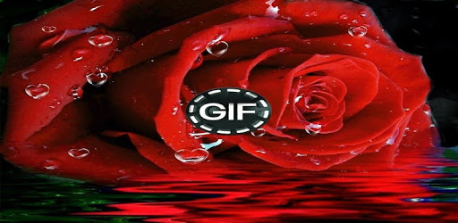 Roses Animated Images Gif for PC - How to Install on Windows PC, Mac