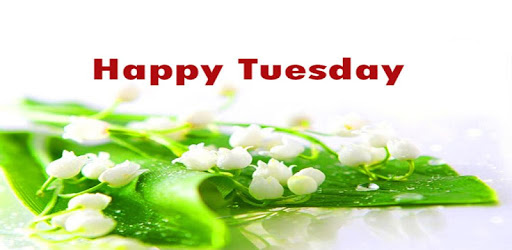 Happy Tuesday for PC - How to Install on Windows PC, Mac