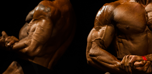 Bodybuilding Fitness and Gym daily workouts for PC - How to Install on ...
