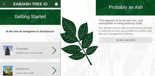 EAB/Ash Tree ID for PC - How to Install on Windows PC, Mac