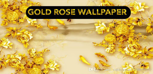 Gold Rose Wallpaper for PC - How to Install on Windows PC, Mac