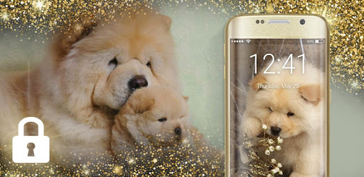 Cute Puppies Chow Chow Dog Screen Lock for PC - How to Install on ...
