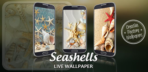 Seashells Live Wallpaper for PC - How to Install on Windows PC, Mac