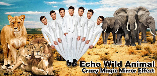 Echo Wild Animal Crazy Magic Mirror Effect for PC - How to Install on Windows PC, Mac